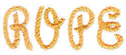 Rope Font Embroidery Font | AnnTheGran.com
