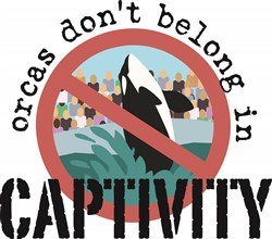 Orca Captivity Vector Illustration | AnnTheGran.com