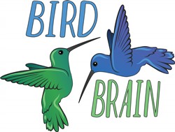 Bird Brain SVG file - SVG cut files.com | AnnTheGran.com