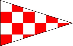 ICS Flag Emergency Vector Illustration | AnnTheGran.com