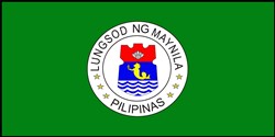 Manila Philippines Flag Vector Illustration | AnnTheGran.com
