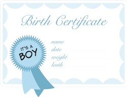 Birth Certificate Vector Illustration | AnnTheGran.com