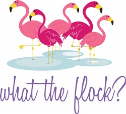 What The Flock Vector Illustration | AnnTheGran.com