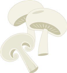 Mushroom Slice Vector Illustration | AnnTheGran.com