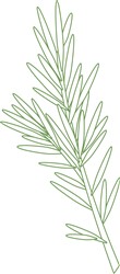 Rosemary Herb Outline Vector Illustration | AnnTheGran.com