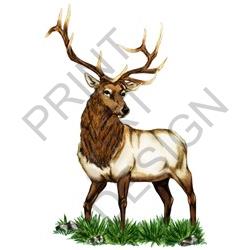 Elk Vector Illustration | AnnTheGran.com