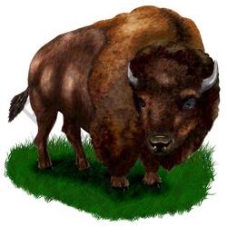 Bison Vector Illustration | AnnTheGran.com