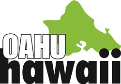 Oahu Hawaii Vector Illustration | AnnTheGran.com