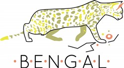 Bengal Vector Illustration | AnnTheGran.com