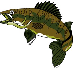 Walleye Vector Illustration | AnnTheGran.com