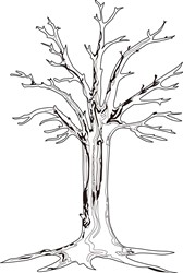 Tree Outline Vector Illustration | AnnTheGran.com