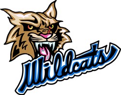 Large Wildcat Mascot Vector Illustration | AnnTheGran.com