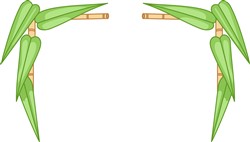 BAMBOO FRAME BORDER Vector Illustration | AnnTheGran.com