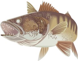 LARGE WALLEYE Vector Illustration | AnnTheGran.com