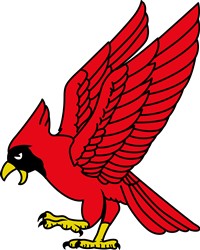 CARDINAL MASCOT Vector Illustration | AnnTheGran.com