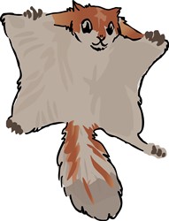 Flying Squirrel Vector Illustration | AnnTheGran.com
