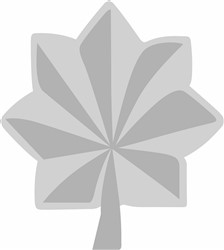 MAJOR LT COLONEL Vector Illustration | AnnTheGran.com