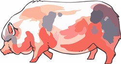 SWINE Vector Illustration | AnnTheGran.com