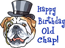 HAPPY BIRTHDAY OLD CHAP Vector Illustration | AnnTheGran.com