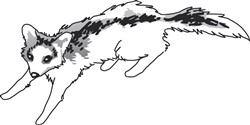 Canadian Marble Fox Vector Illustration | AnnTheGran.com