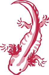 Large Axolotl Vector Illustration | AnnTheGran.com
