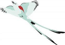 Scissortail Flycatcher Vector Illustration | AnnTheGran.com
