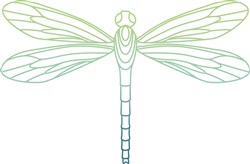 Dragonfly Outline Vector Illustration | AnnTheGran.com