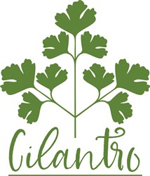 Cilantro Herb Vector Illustration | AnnTheGran.com