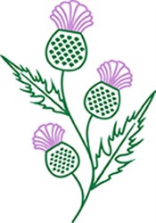 Scottish Thistle Outline Vector Illustration | AnnTheGran.com