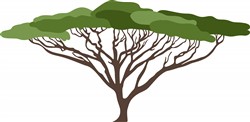 African Tree Vector Illustration | AnnTheGran.com
