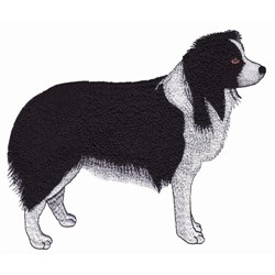Border Collie Embroidery Design | AnnTheGran.com