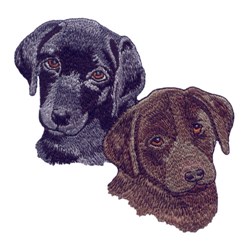 Black And Chocolate Lab Heads Embroidery Design | AnnTheGran.com