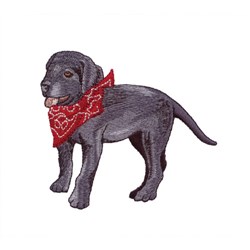 Black Lab With Bandana Embroidery Design | AnnTheGran.com