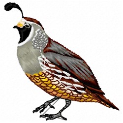 California Quail Embroidery Design | AnnTheGran.com
