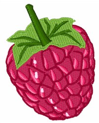 Raspberry Embroidery Design | AnnTheGran.com