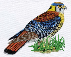 American Kestrel Embroidery Design | AnnTheGran.com
