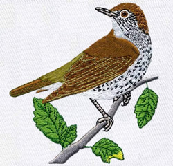 Wood Thrush Embroidery Design | AnnTheGran.com