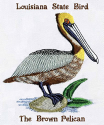 Louisiana Brown Pelican Embroidery Design | AnnTheGran.com