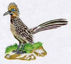 Greater Roadrunner Embroidery Design | AnnTheGran.com