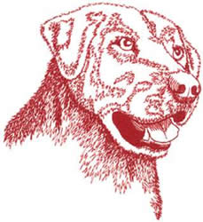 Lab Embroidery Design | AnnTheGran.com