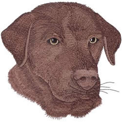 Chocolate Lab Embroidery Design | AnnTheGran.com