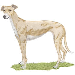 Greyhound Embroidery Design | AnnTheGran.com