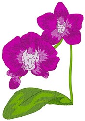 Orchid Embroidery Design | AnnTheGran.com