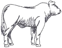 Steer Outline Embroidery Design | AnnTheGran.com