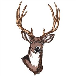 Mule Deer Embroidery Design | AnnTheGran.com