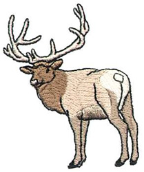 Elk Embroidery Design | AnnTheGran.com