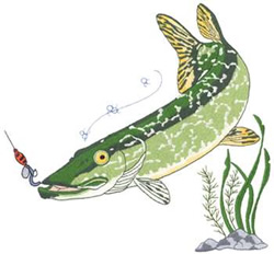 Northern Pike Embroidery Design | AnnTheGran.com