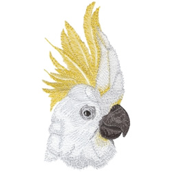 Sulfer Crested Cockatoo Embroidery Design | AnnTheGran.com