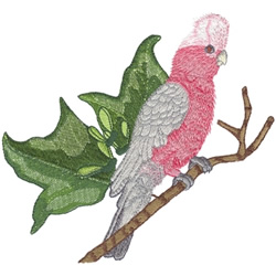 Galah Cockatoo Embroidery Design | AnnTheGran.com