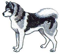 Siberian Husky Embroidery Design | AnnTheGran.com